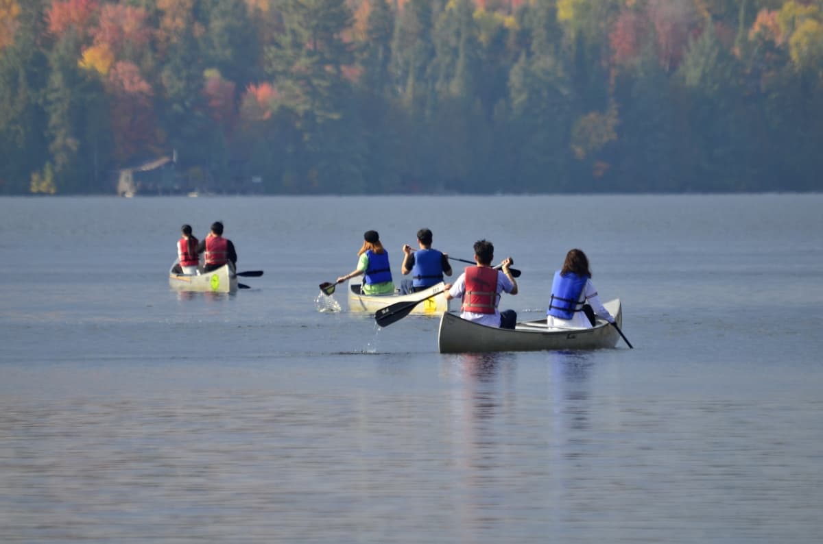 Best 37 Things to Do in Algonquin Park (2026 Travel Guide)